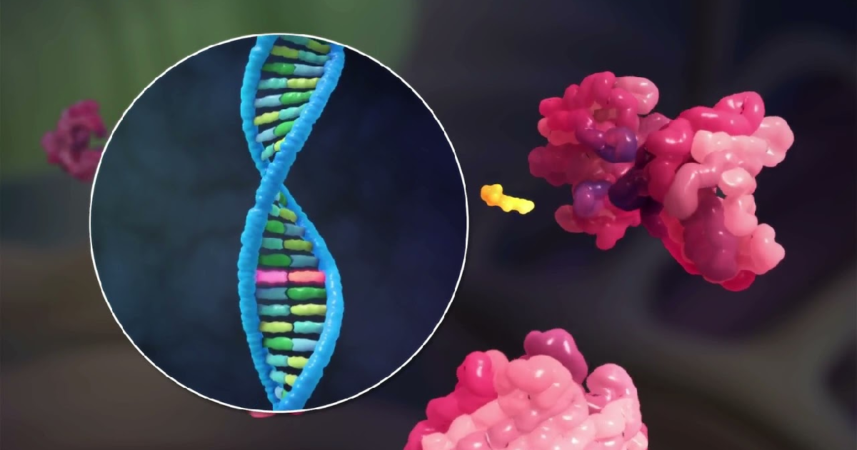 Hereditary ATTR Amyloidosis: Symptoms, Genetics & Treatment